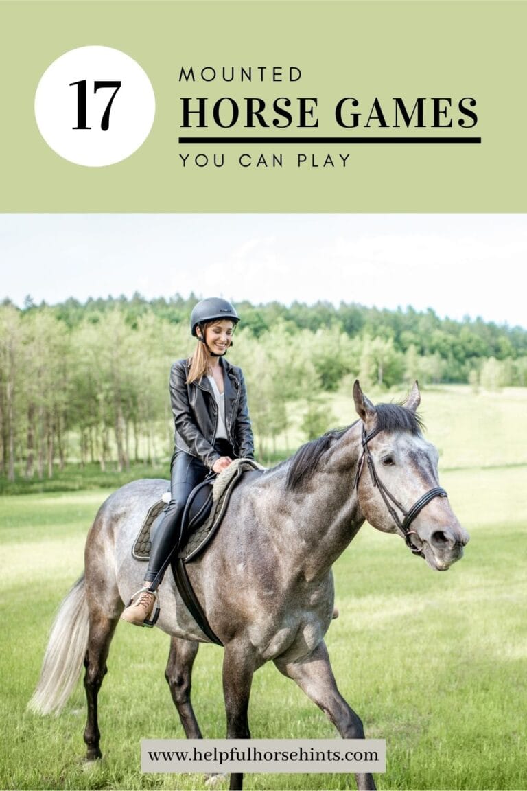 17 Mounted Horse Games You Can Play - Helpful Horse Hints