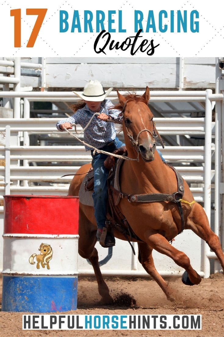 17 Remarkable Barrel Racing Quotes with Shareable Pictures - Helpful ...