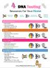 Horse DNA Testing: Guide to Labs and Available Tests - Helpful Horse Hints