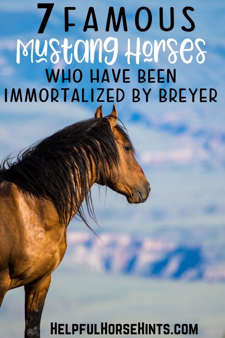 7 Famous Mustang Horses Who Have Been Immortalized by Breyer - Helpful ...