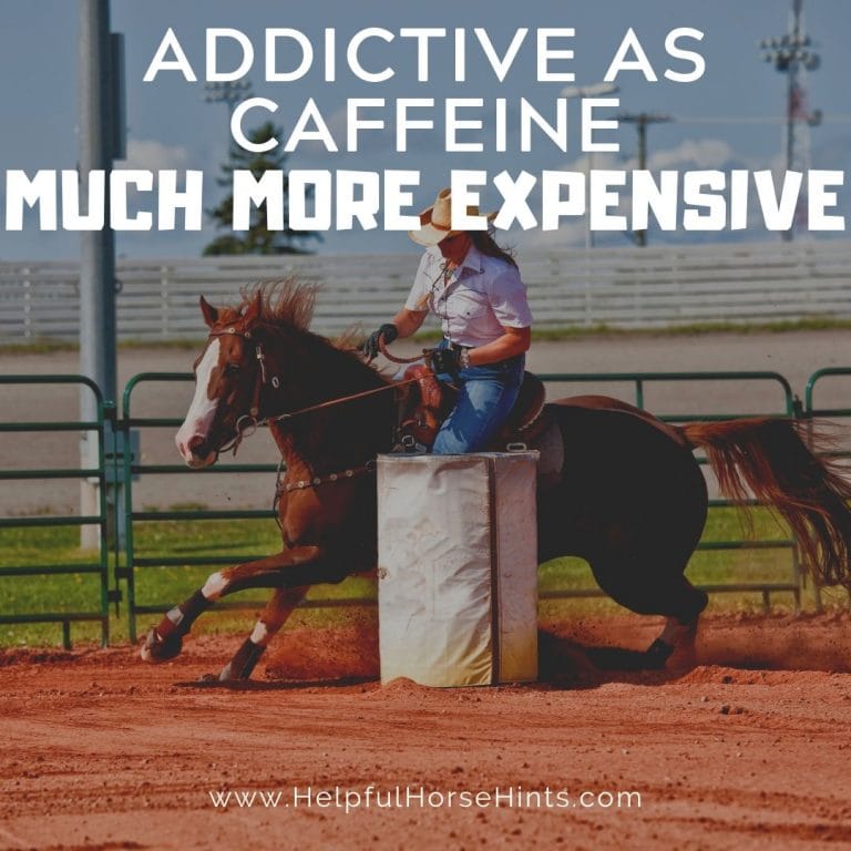 17 Remarkable Barrel Racing Quotes with Shareable Pictures - Helpful ...