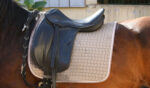 9 Types of English Saddles - Helpful Horse Hints