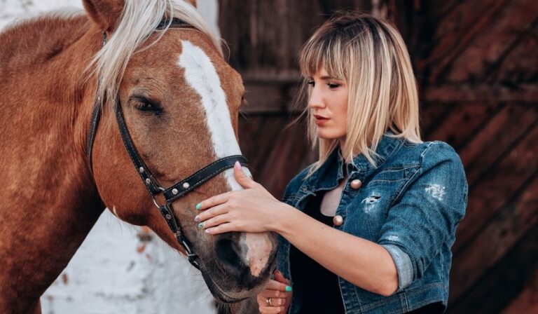 26 Equine Careers with Estimated Salaries - Helpful Horse Hints