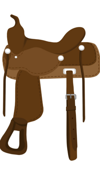 McClellan Saddle vs. Western Saddle - Helpful Horse Hints