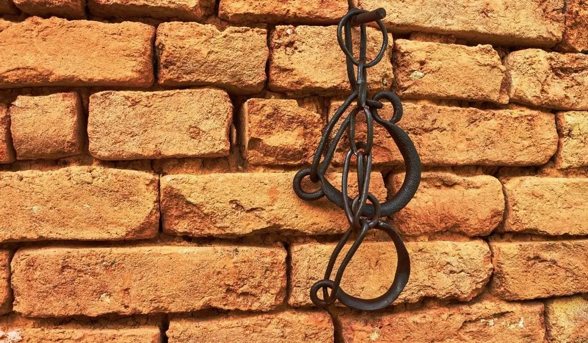 Types of Hobbles for Horses - Helpful Horse Hints