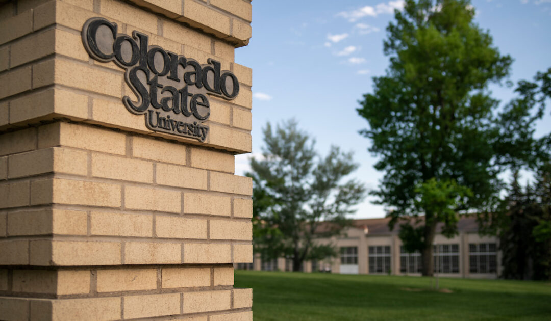 9 Best Equestrian Colleges in the United States - Helpful Horse Hints