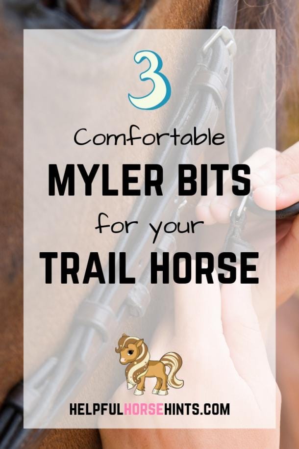 3 Comfortable Myler Bits for Your Trail Horse - Helpful Horse Hints
