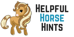 A Look at Some of the Most Common Red Horse Breeds - Helpful Horse Hints