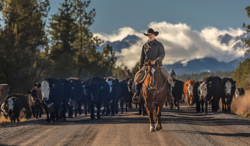 How to Be a Cowboy (A Step-By-Step Guide) - Helpful Horse Hints