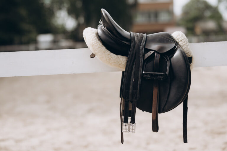 7 Types of Endurance Saddles - Helpful Horse Hints