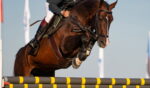 Eventing Levels Explained - The Equestrian Triathlon - Helpful Horse Hints