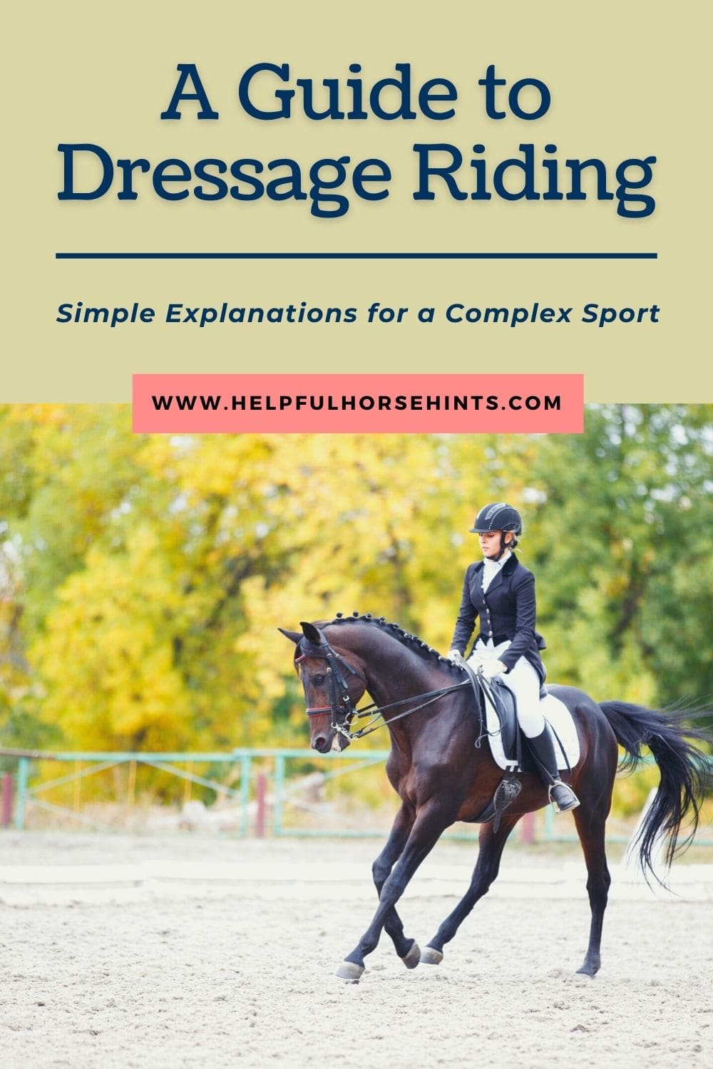 Guide to Dressage Riding: Simple Explanations for a Complex Sport ...