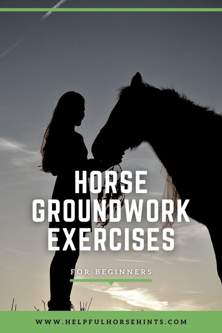 Horse Groundwork Exercises for Beginners w/FREE Training Log - Helpful Horse Hints