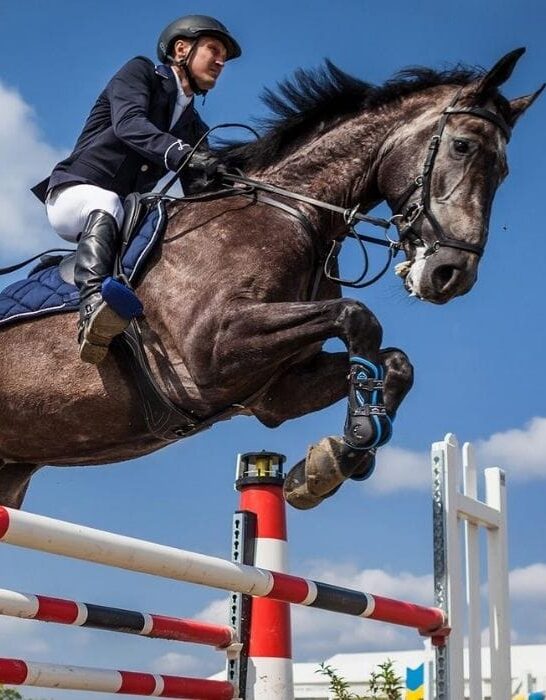 Equestrian Disciplines Archives - Helpful Horse Hints