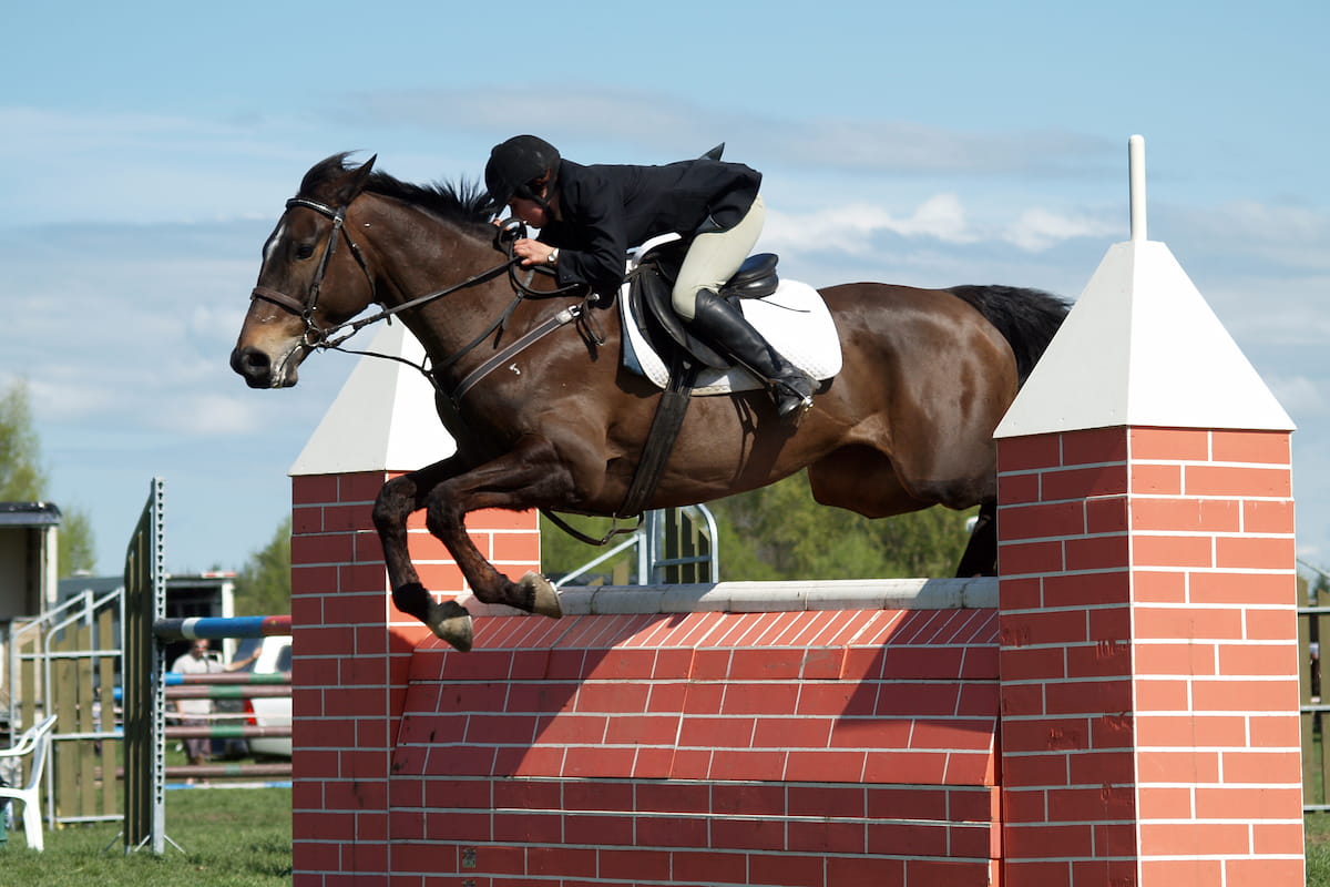 Horse Jump Types - Helpful Horse Hints