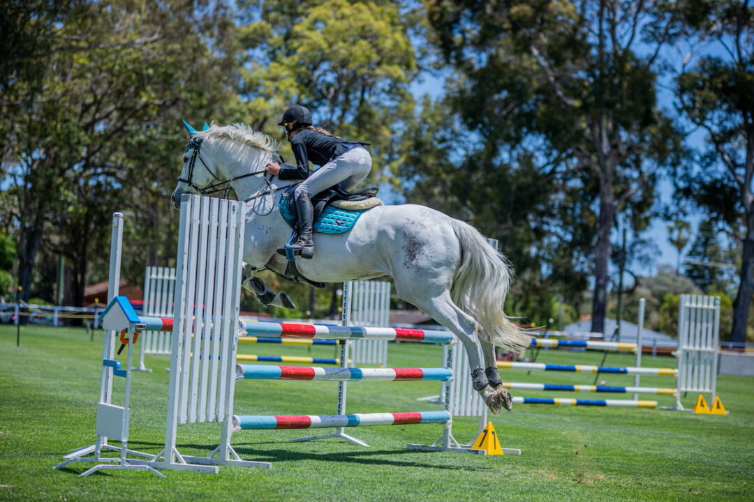 Horse Jump Types - Helpful Horse Hints
