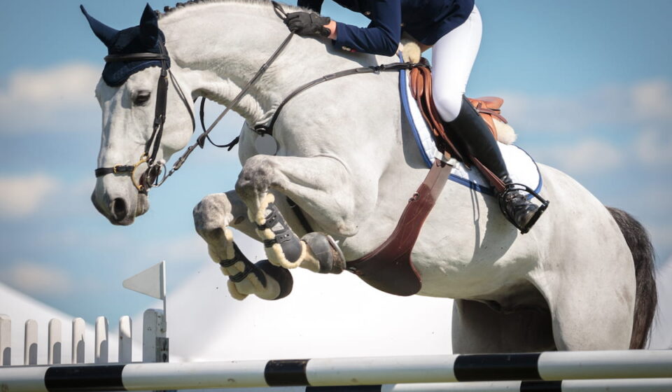 25+ Horseback Riding Styles to Try With Your Horse - Helpful Horse Hints