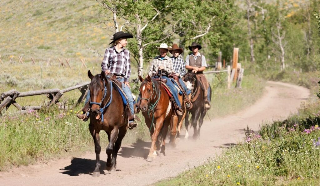 17 Best Horse Breeds for Trail Riding - Helpful Horse Hints