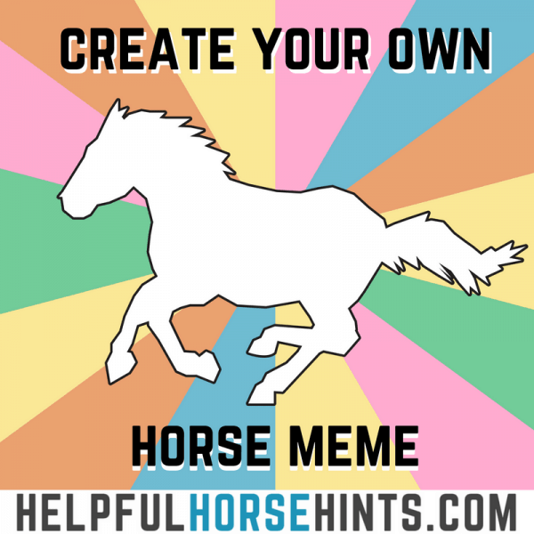 Home | Helpful Horse Hints