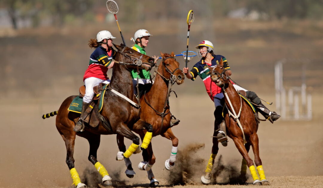 11 Ball Sports You Can Play with Horses - Helpful Horse Hints