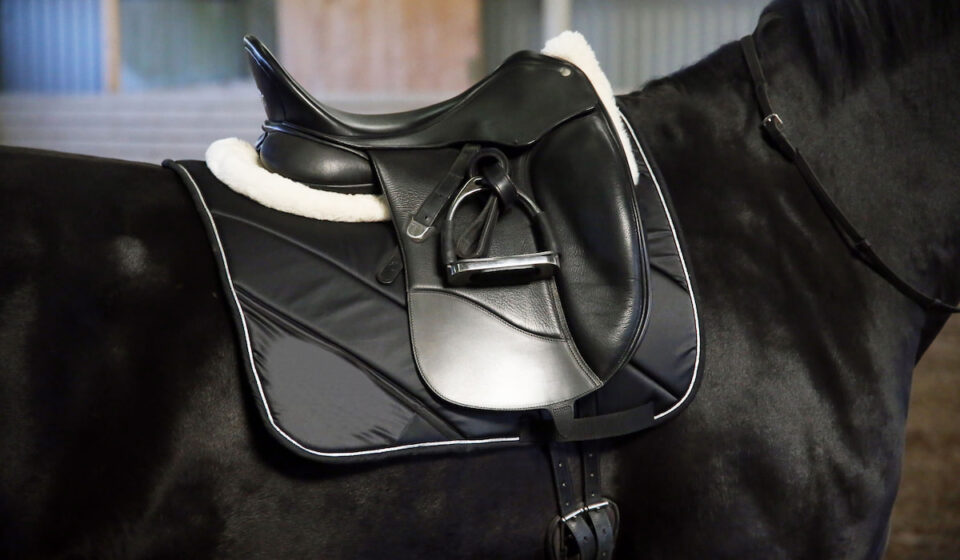 9 Types of English Saddles - Helpful Horse Hints