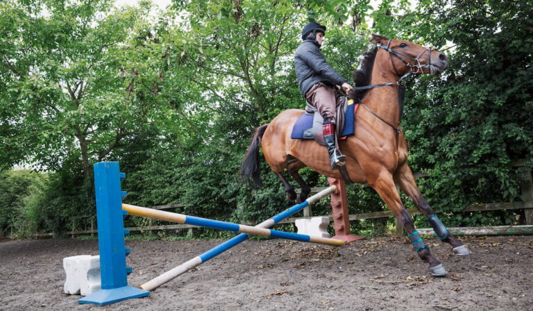 Horse Jump Types - Helpful Horse Hints