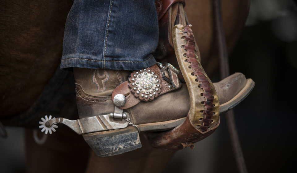 Types of Spurs and Their Uses - Helpful Horse Hints