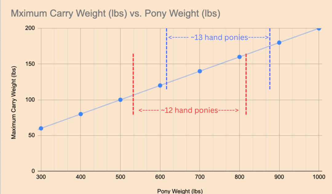 How Much Weight Can A Pony Carry? - Helpful Horse Hints
