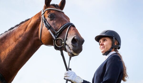 26 Equine Careers with Estimated Salaries - Helpful Horse Hints