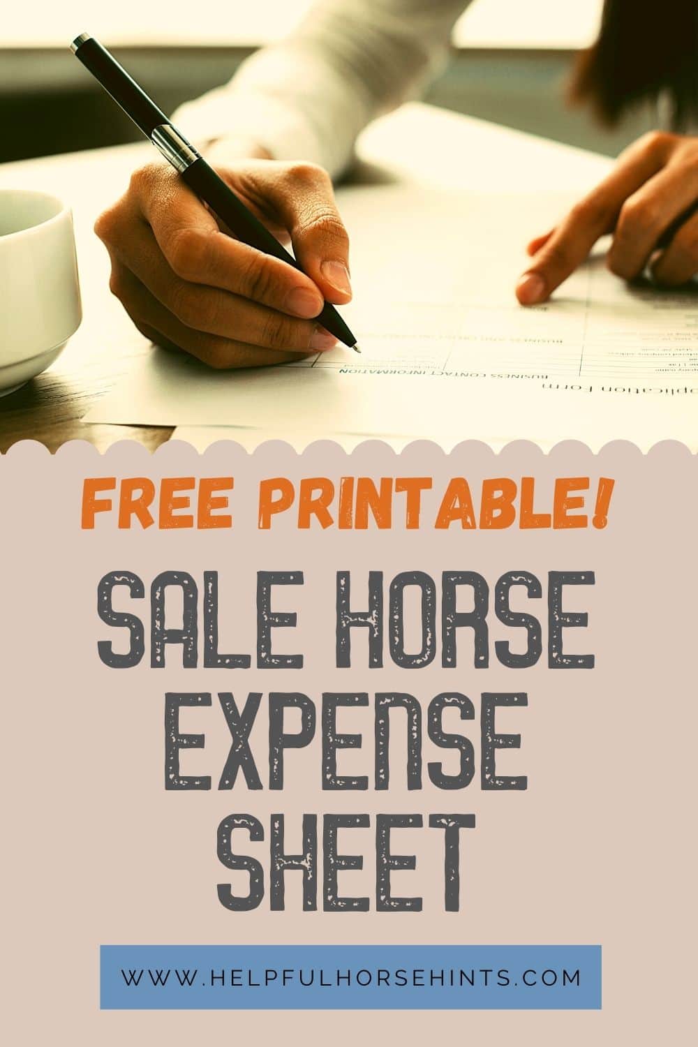 Sale Horse Expense Sheet - Helpful Horse Hints