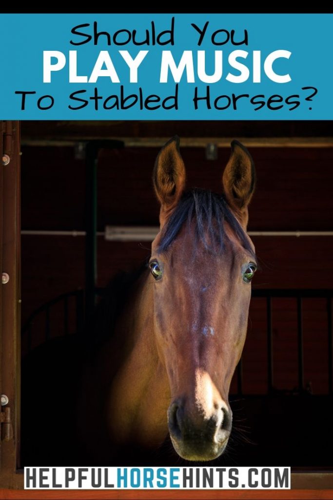 Horses & Music: The Science, Benefits and Artistic Expression | Helpful ...