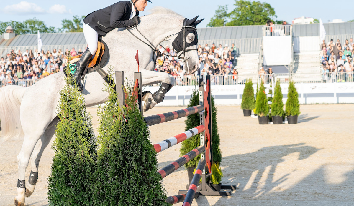 9 Famous Showjumping Horses - Helpful Horse Hints