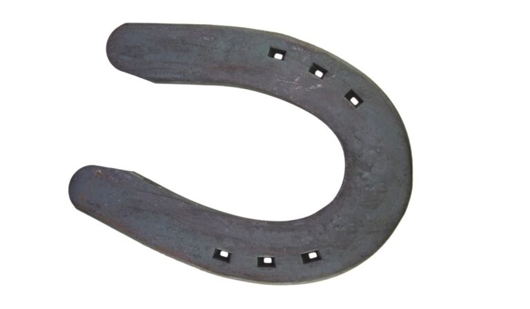 Types of Horseshoes - Helpful Horse Hints