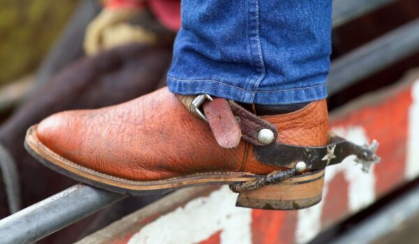 Types of Spurs and Their Uses - Helpful Horse Hints