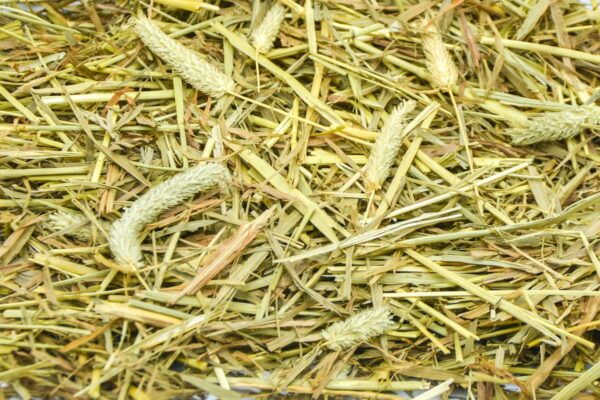 15 Types of Horse Hay - Helpful Horse Hints