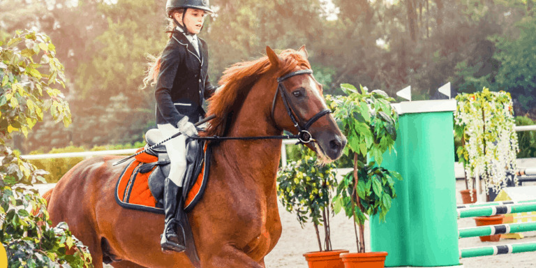 Chestnut Vs. Sorrel Horse: What Is The Difference? - Helpful Horse Hints
