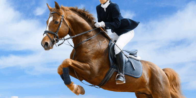 Chestnut Vs. Sorrel Horse: What Is The Difference? - Helpful Horse Hints