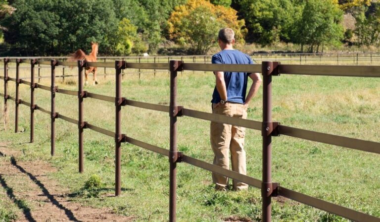 26 Equine Careers with Estimated Salaries - Helpful Horse Hints