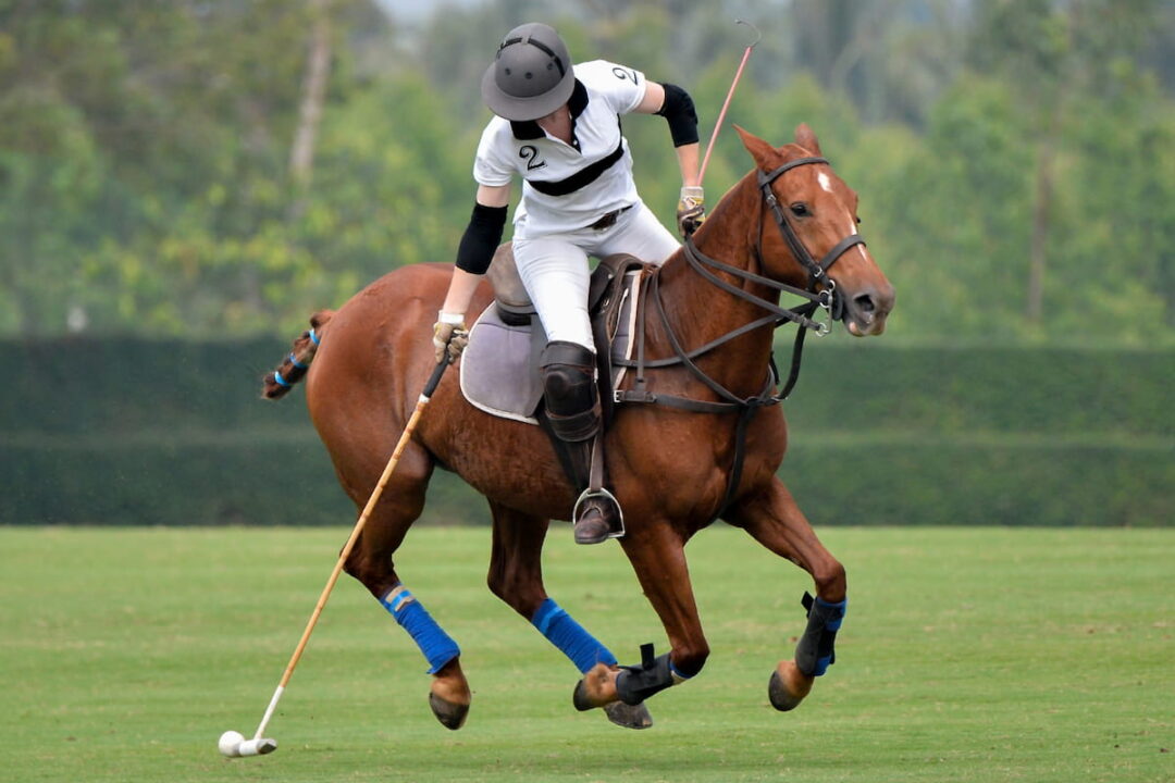 11 Ball Sports You Can Play with Horses - Helpful Horse Hints