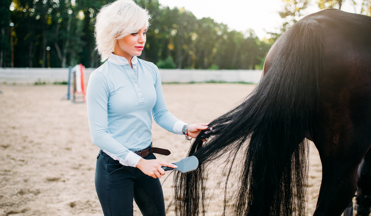 Grooming Archives - Helpful Horse Hints