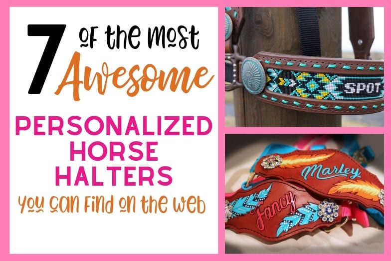 7 of the Most Awesome Personalized Horse Halters on the Web - Helpful ...