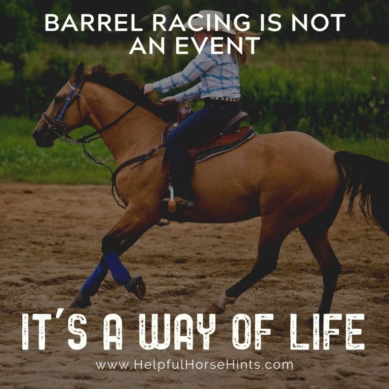 17 Remarkable Barrel Racing Quotes with Shareable Pictures - Helpful ...