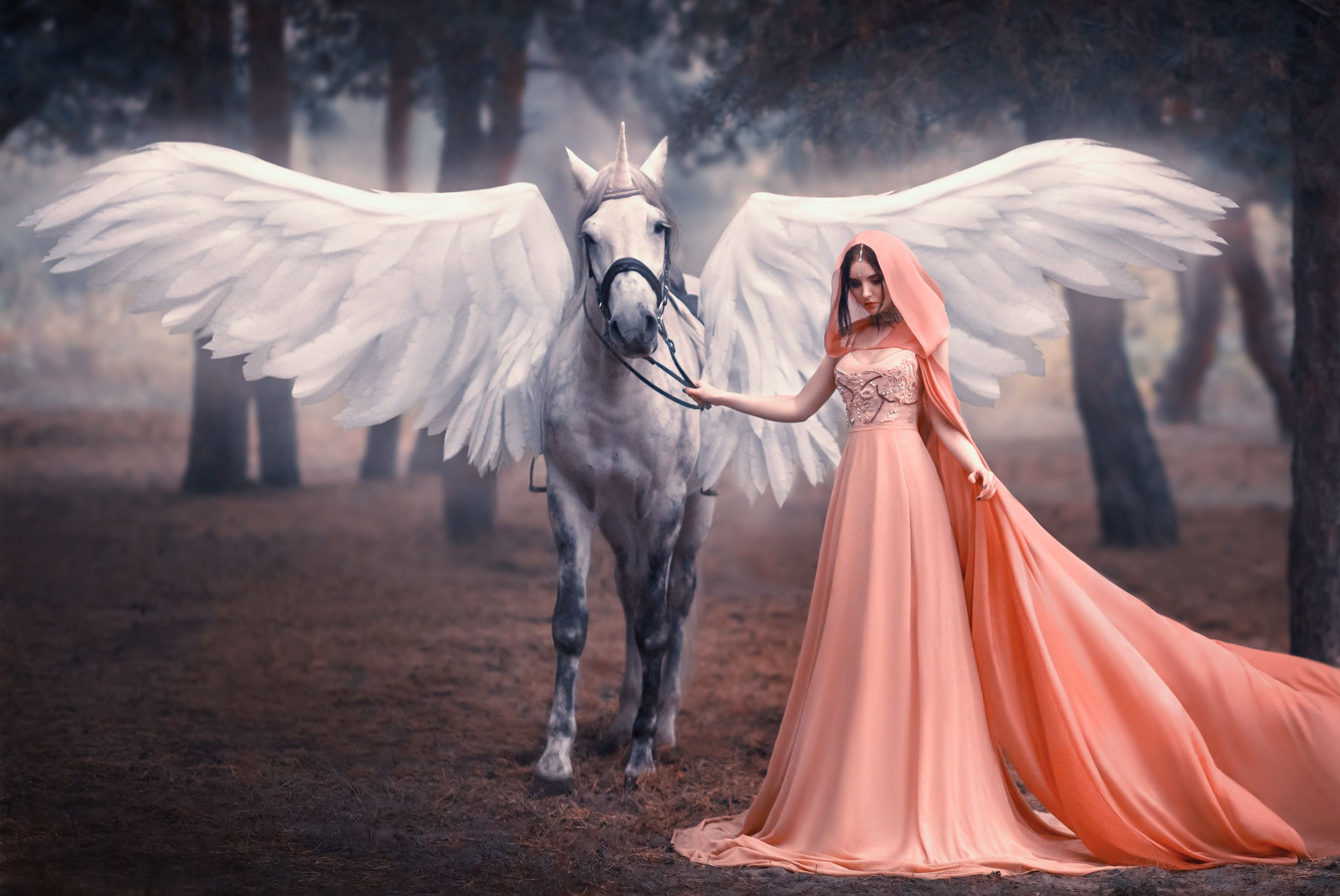 81 Pegasus Names - Helpful Horse Hints