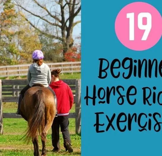 Stories Archive - Page 36 of 37 - Helpful Horse Hints