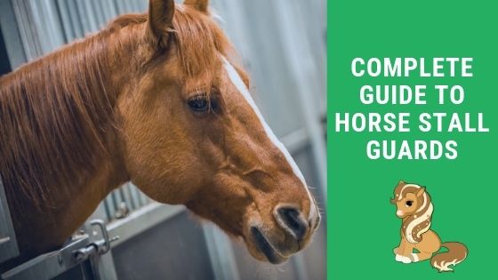 Complete Guide To Stall Guards For Horses - Helpful Horse Hints