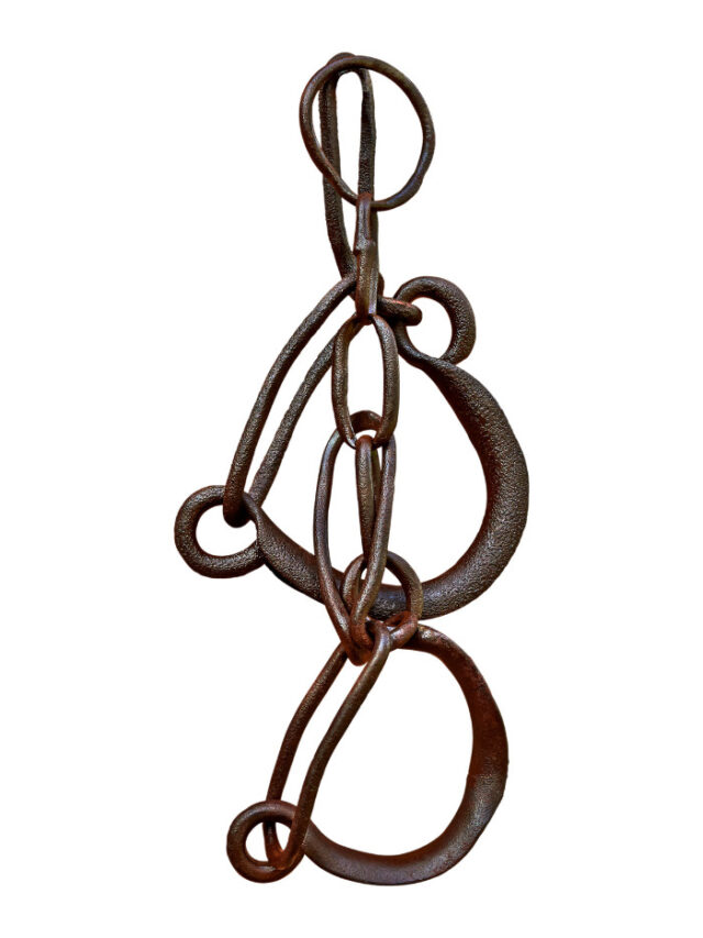 Types of Hobbles for Horses - Helpful Horse Hints