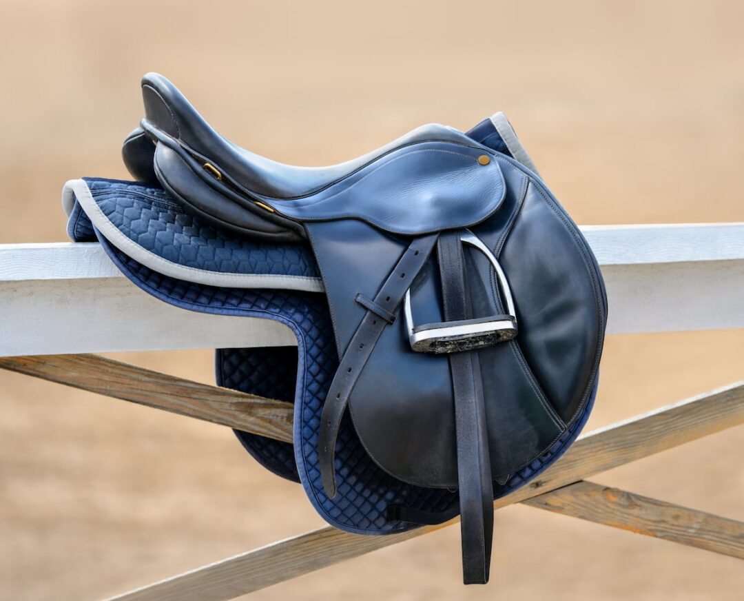 23 Types of Horse Saddles - Helpful Horse Hints