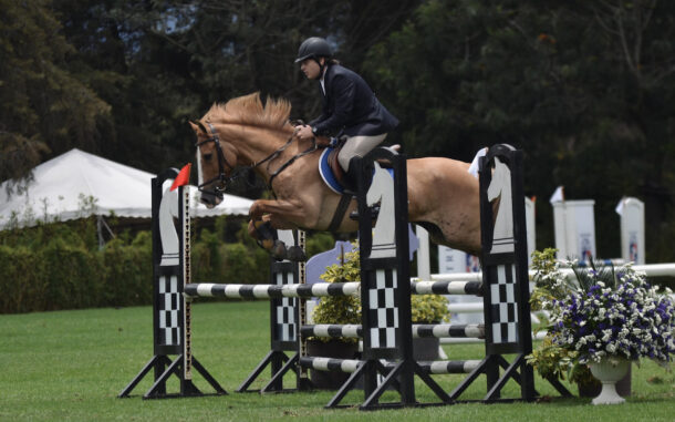 481 Awesome Show Names for Your Horse - Helpful Horse Hints