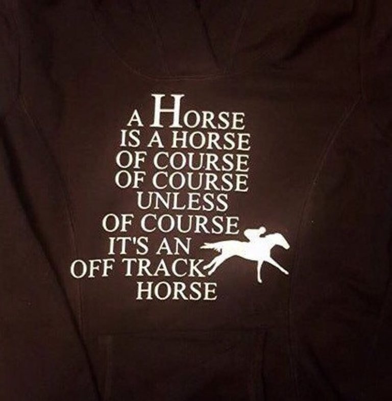 What Does OTTB Mean in the Horse World? - Helpful Horse Hints