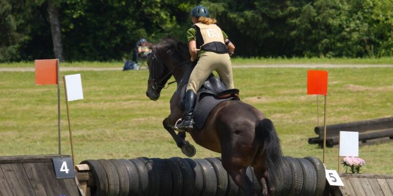Eventing Levels Explained - The Equestrian Triathlon - Helpful Horse Hints
